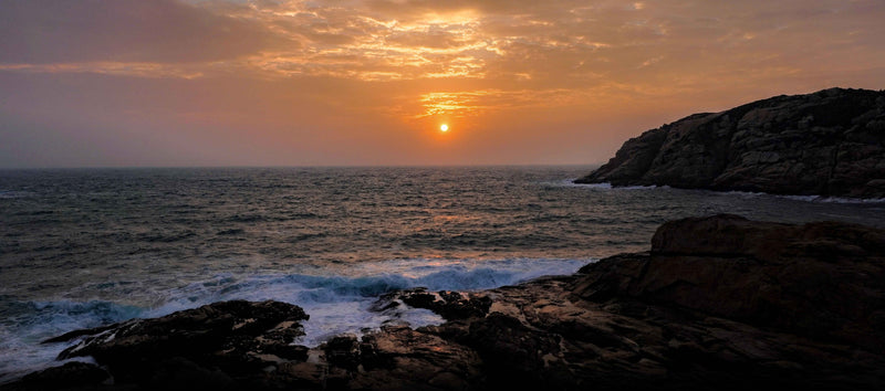 MINI AUTUMN FEST. Market Event